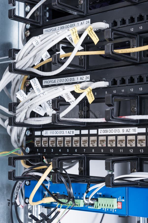 Network Cables Connected To Switch Stock Photo - Image of network ...