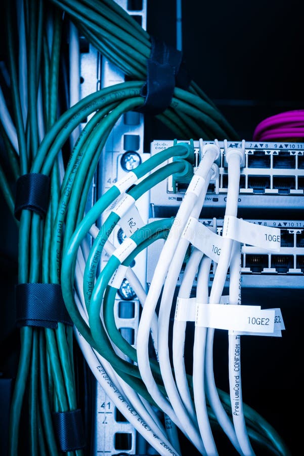 Network Cables Connected into Server Inside Data Center Stock Photo ...