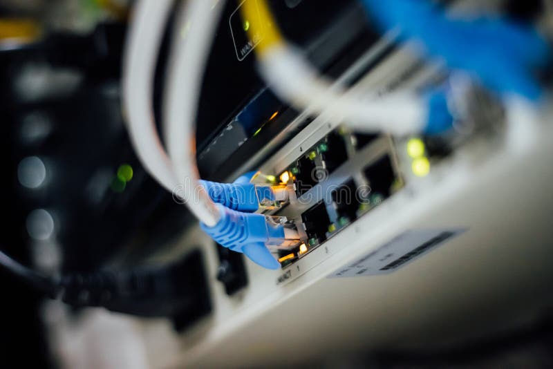 Network cables connected stock photo. Image of cables - 100911556