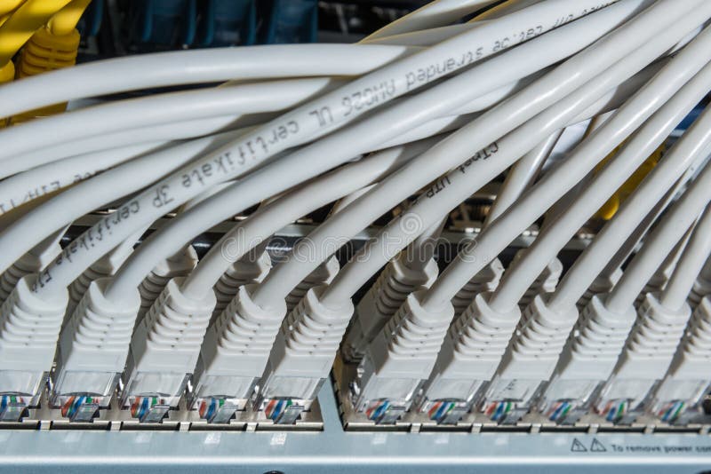 Network Cables Connected To Switch Stock Photo - Image of network ...