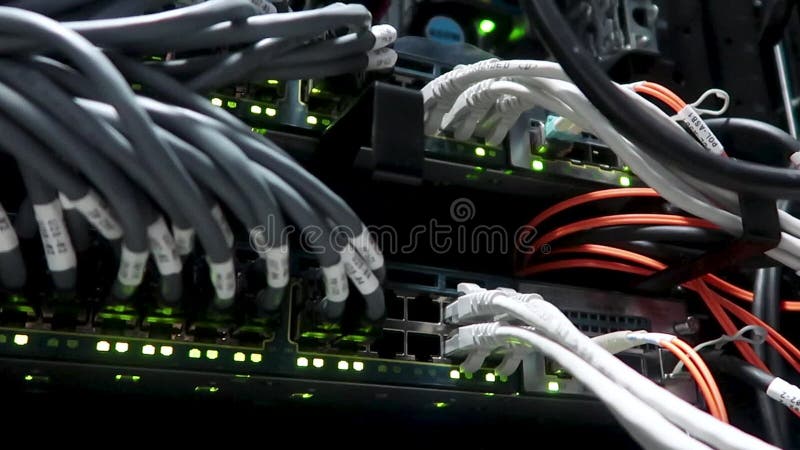 UTP Cables are Connected To a Network Switch. Network Activity on ...