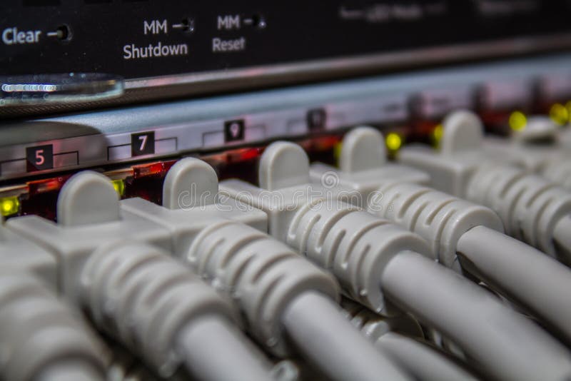 Network Cables Connected To a Switch. Stock Photo - Image of ...