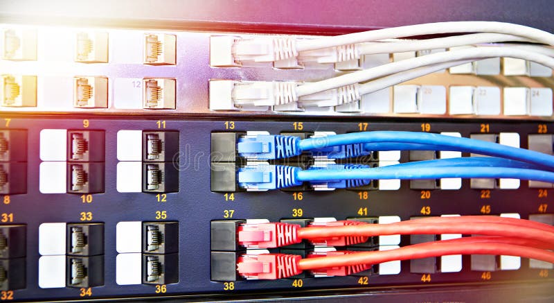 Network Cables with Connectors Switch Stock Image - Image of networking ...
