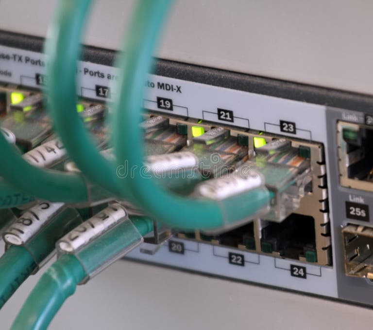Network Cables in a Patch Panel for the Connection of the Computer with ...
