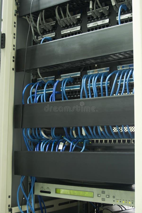 Network Cables in Rack stock photo. Image of computer - 22429600