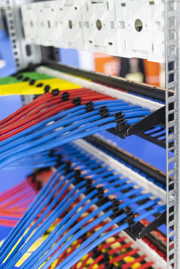 Network Cables in Switch and Firewall Stock Image - Image of internet ...