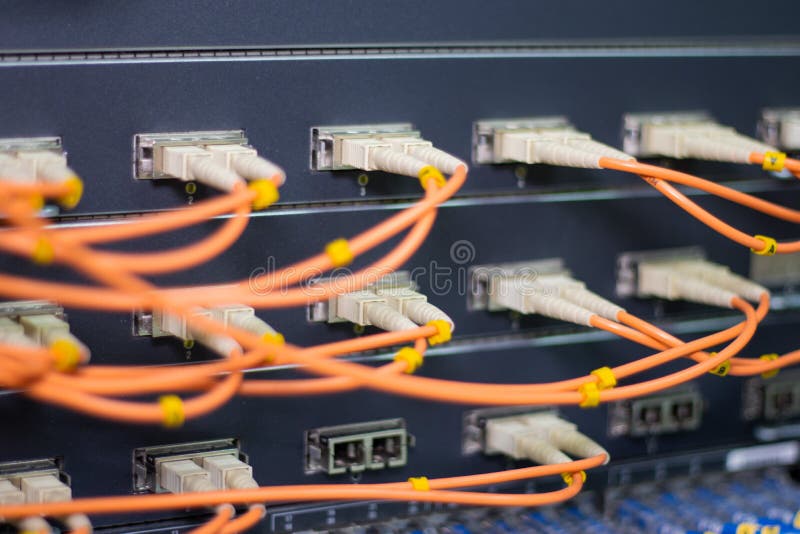 The Network Cables To Connect the Port of a Switch To Connect Internet ...