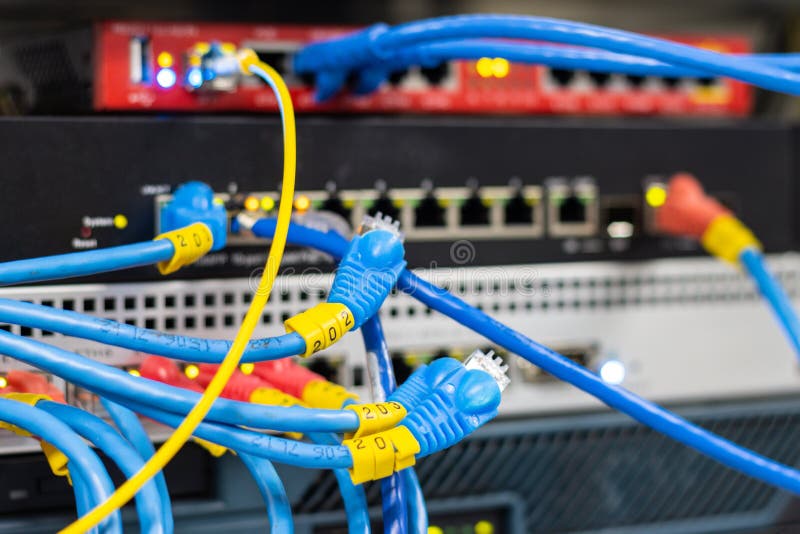 The Network Cables To Connect the Port of a Switch To Connect Internet ...