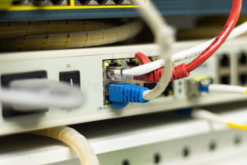 The Network Cables To Connect the Port of a Switch To Connect Internet ...