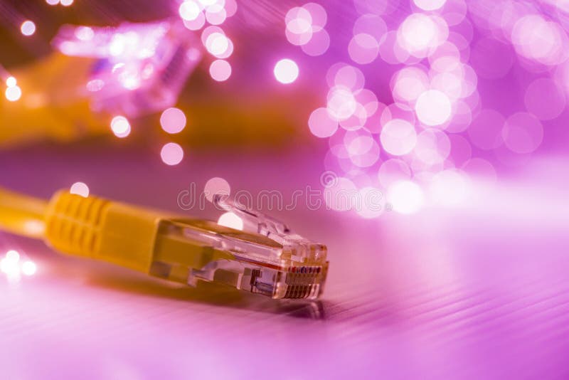 Network connection cable stock photo. Image of ethernet - 198141916