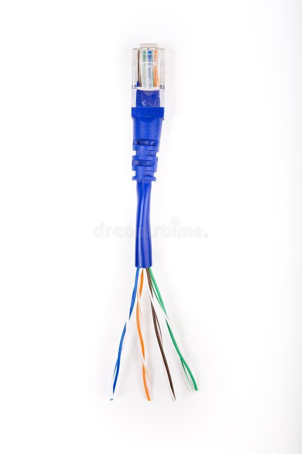 Network Connection Plug stock photo. Image of dscriptive - 19778598
