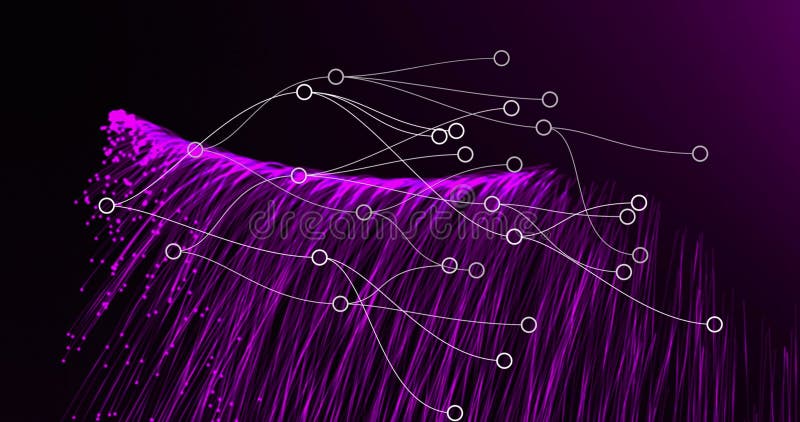 Network of Connections Over Purple Light Trails Falling Against Black ...