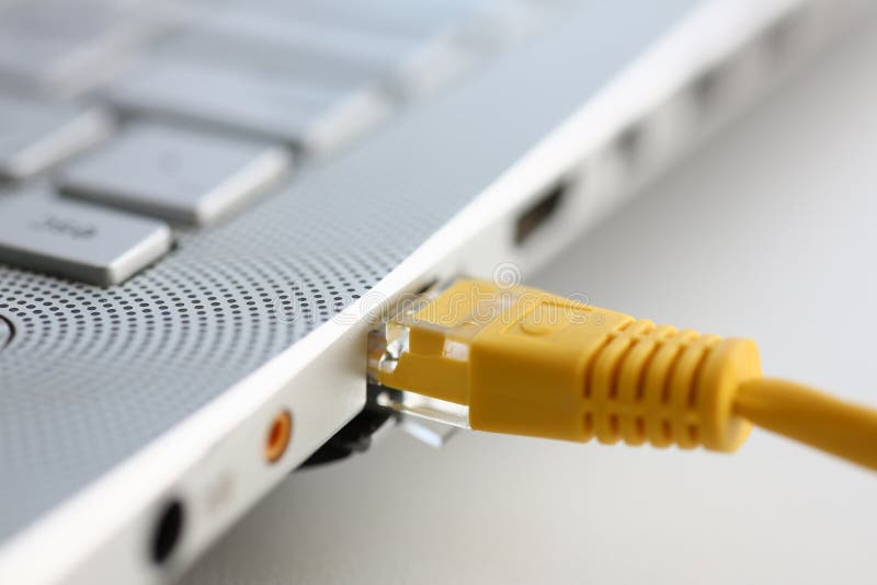 The Network Connector is Inserted into the Laptop Stock Image - Image ...