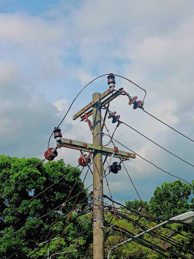 Network of Electrical Wires in a Tropical Area Stock Image - Image of ...