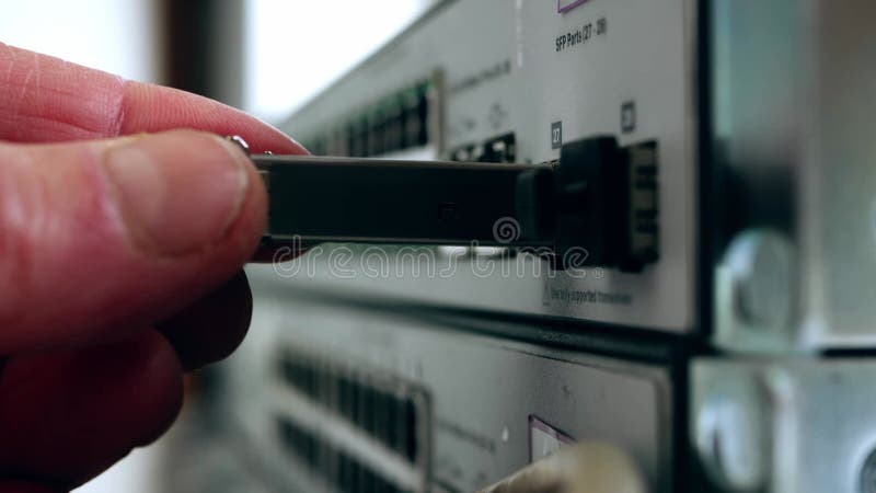Network Engineer Connects Fiber Transceiver Connection on Computer ...