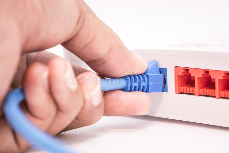 Network Engineer Input UTP Cable Stock Image - Image of router, body ...