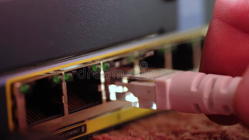 Network Engineer Plugs in Device on Ethernet Network Switch Port Stock ...