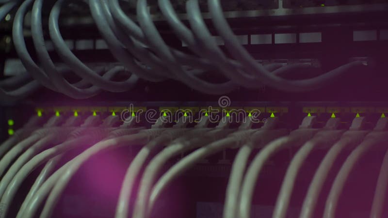 Network Panel Switch with Green Led Flashing Stock Footage - Video of ...