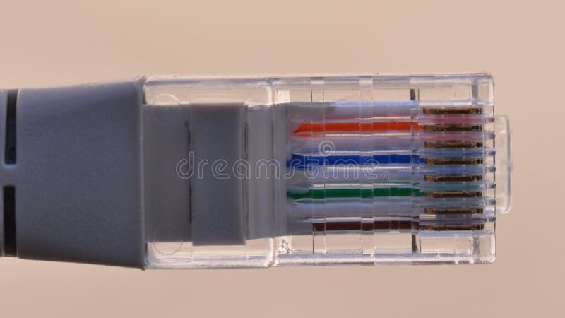 Network plug detail stock photo. Image of cables, bits - 113682612