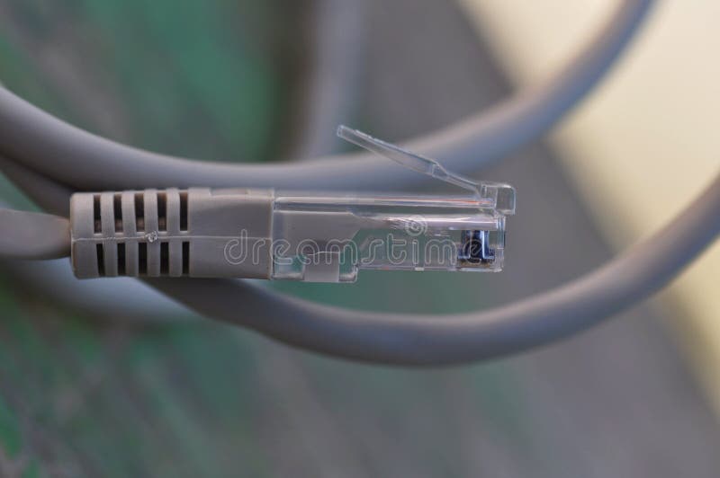 Network plug stock photo. Image of cord, computer, connections - 113681106