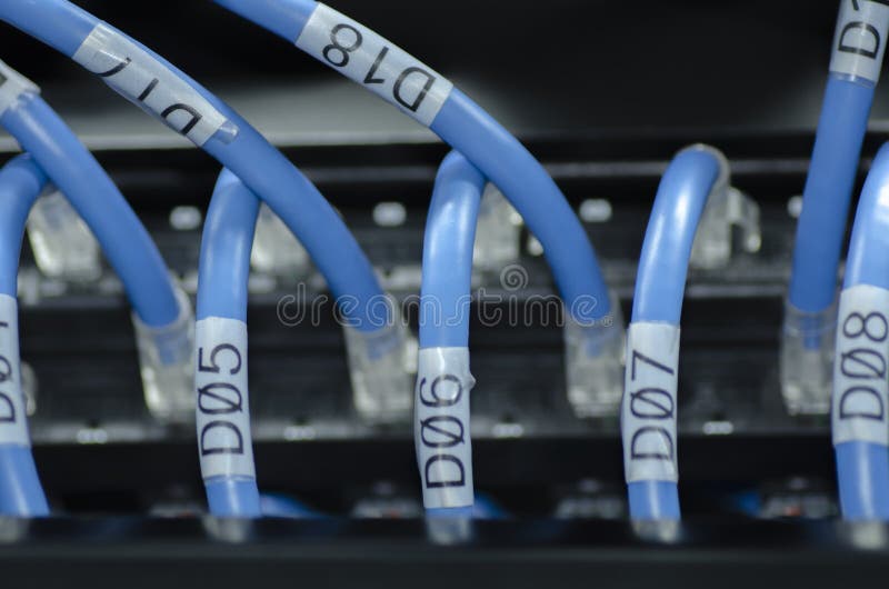 Network and Patch Cord Cable in Data Cente.selective Focus Shot Stock ...