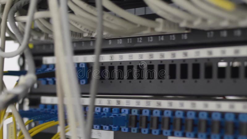 Network Server Room, Panel, Switch and Patch Cord Cable for Servers ...