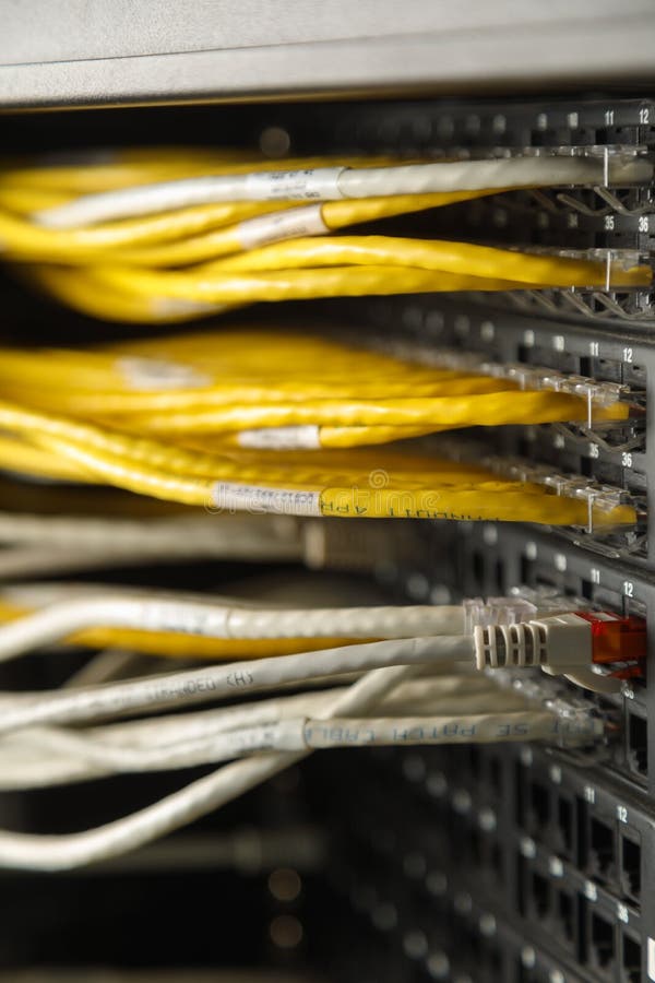 Network Switch and Ethernet Cables Stock Image - Image of networking ...