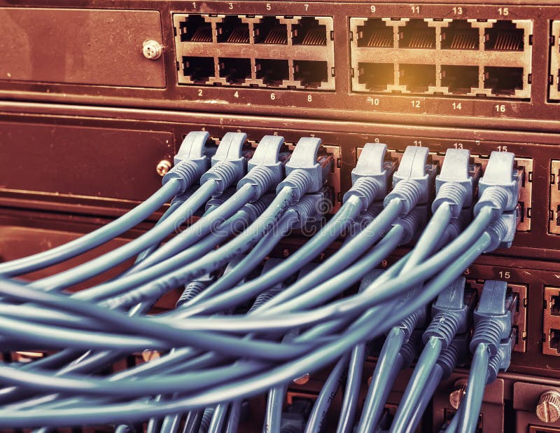 Network Switch and Ethernet Cables Stock Image - Image of networking ...