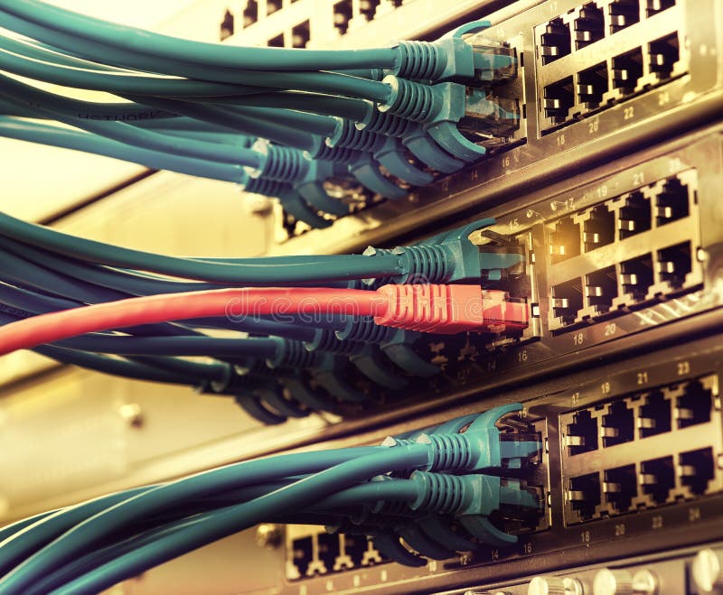 Network Switch and Ethernet Cables Stock Photo - Image of local, cord ...