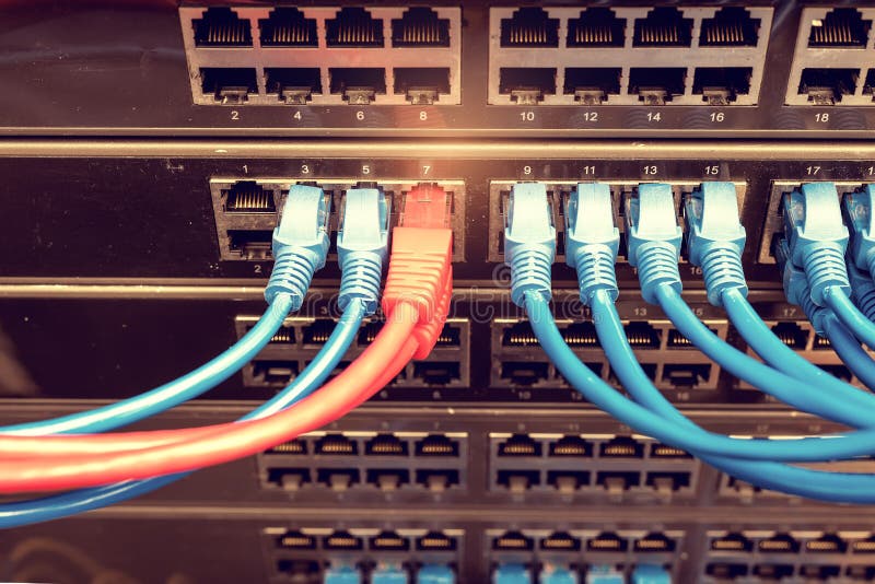 Network Switch and Ethernet Cables Stock Photo - Image of internet ...