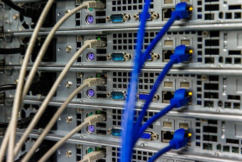Network Switch and Ethernet Cables Stock Photo - Image of computer ...