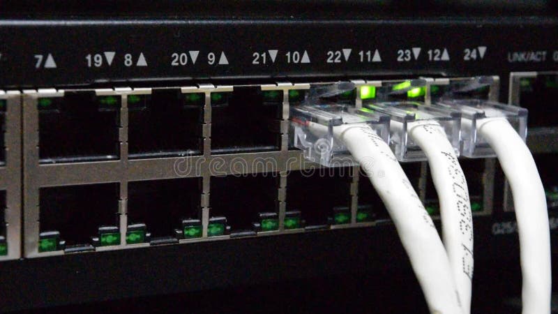 Network Switch and LAN Line Stock Video - Video of cable, information ...