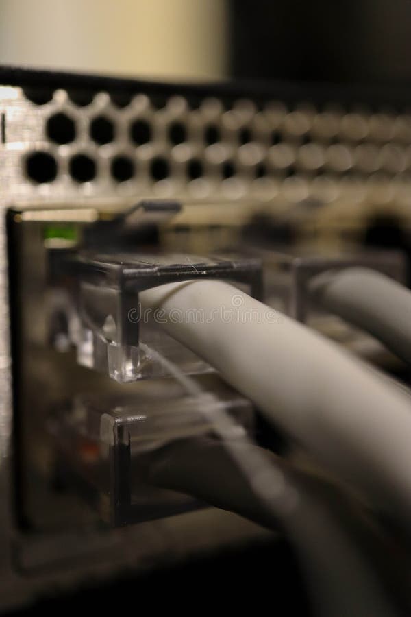 Network Switch with Patch Cables Closeup Stock Image - Image of connect ...