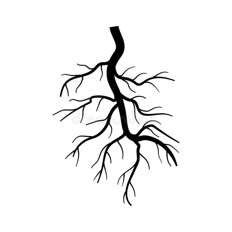 Network Tree Root Cartoon Vector Illustration Stock Vector ...