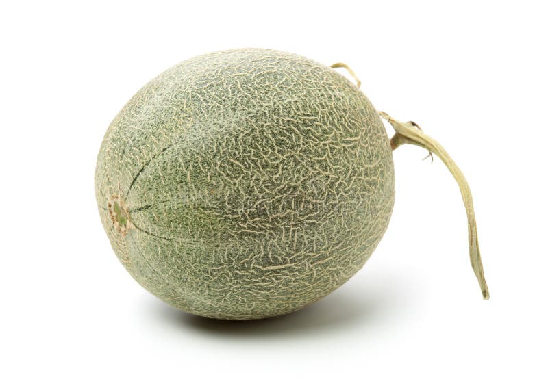 Netzf?rmige Melone stockfoto. Bild von grün, luxus, anden - 149118234