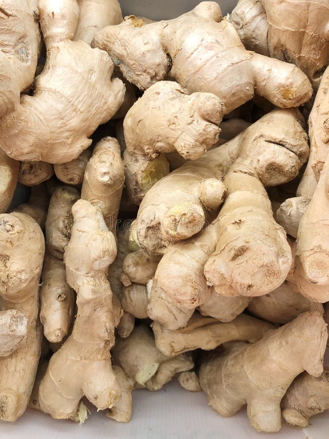 Neue Ingwerwurzel Auf Einem Regal Im Markt Stockbild - Bild von ansicht ...