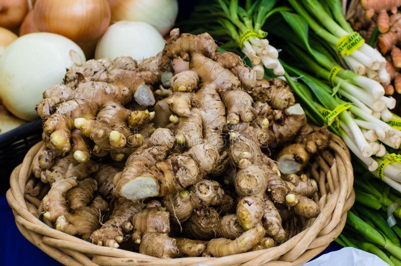 Neue Ingwerwurzel am Markt stockfoto. Bild von gesund - 76618504