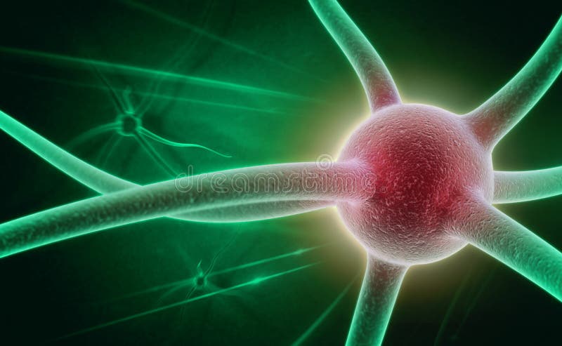 Neurônio imagem de stock. Imagem de neurônio, nervo, anatomia - 39353651