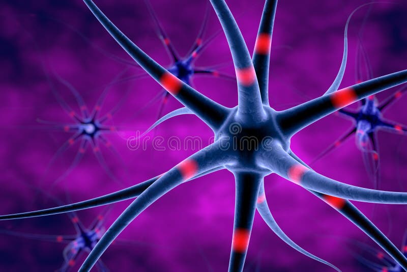 Neurônio, neurônio ilustração stock. Ilustração de cérebro - 79365616