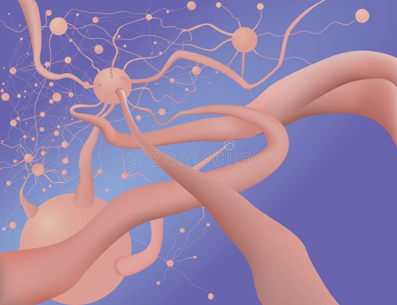 Neural chain stock vector. Illustration of shape, constellation - 53396975