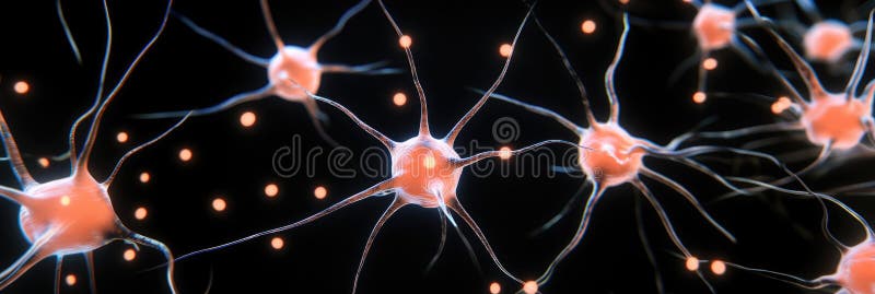 Neural Connections in the Brain: HighResolution Visualization of ...