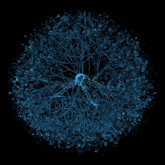 Neural Network 3D Rendered Xray Blue Stock Illustration - Illustration ...