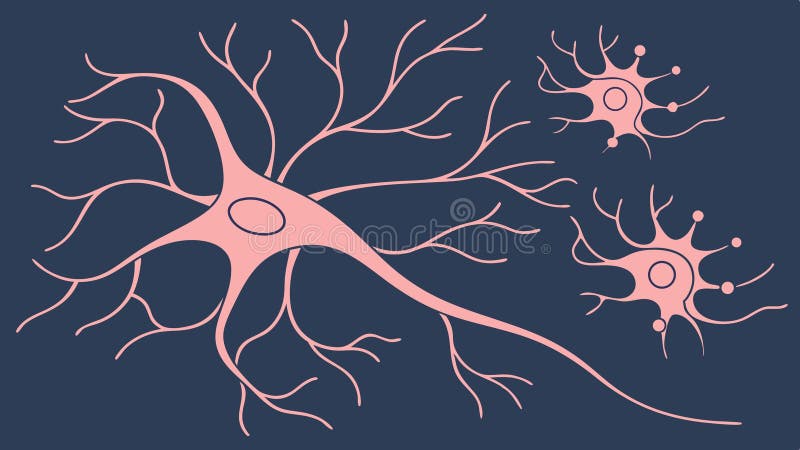 Neural Network Cells Vector Illustration, Brain Science, Vector Design ...