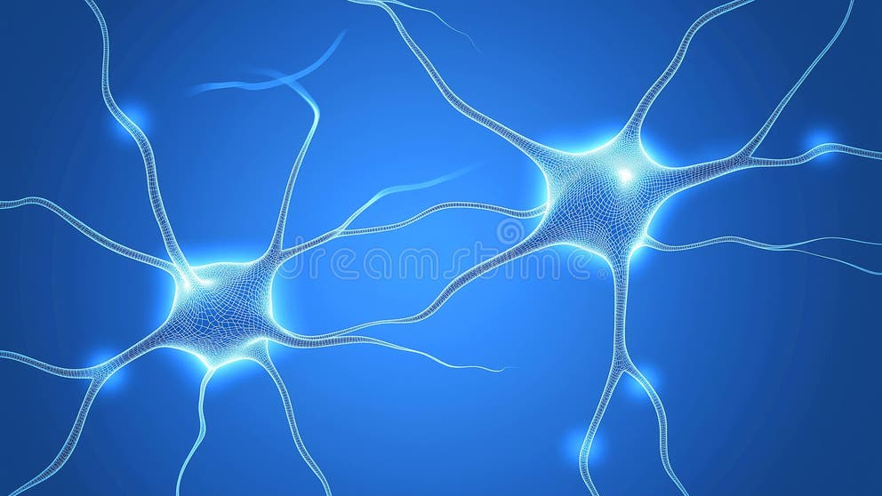 Neural Network Transmitting Signals: Synapses Connecting and ...