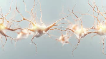 Neural Networks Connection Diagram. Artificial Intelligence Network ...