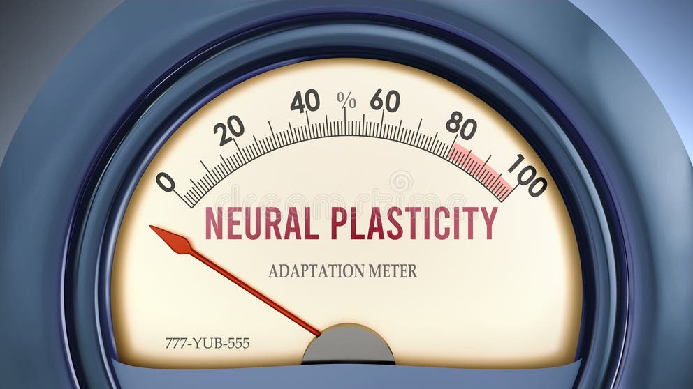 Neural Plasticity Stock Illustrations – 149 Neural Plasticity Stock ...
