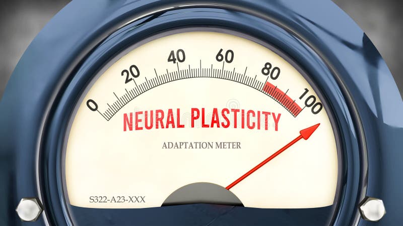 Neural Plasticity and Adaptation Meter that is Hitting a Full Scale ...