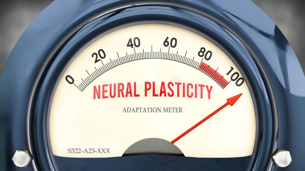 Neural Plasticity and Adaptation Meter that is Hitting a Full Scale ...