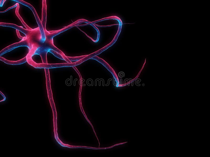 Rotes Gehirn stock abbildung. Illustration von anatomie - 2896896