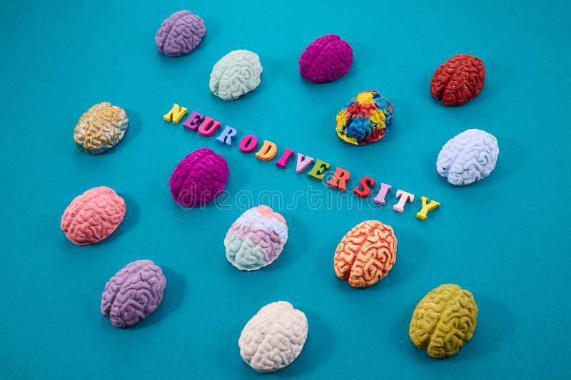 Neurodiversity Concept. Multicolored Figures of the Brain Stock Photo ...